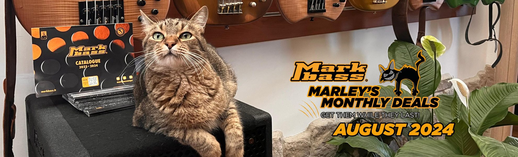 Mark Store – Passion brings innovation