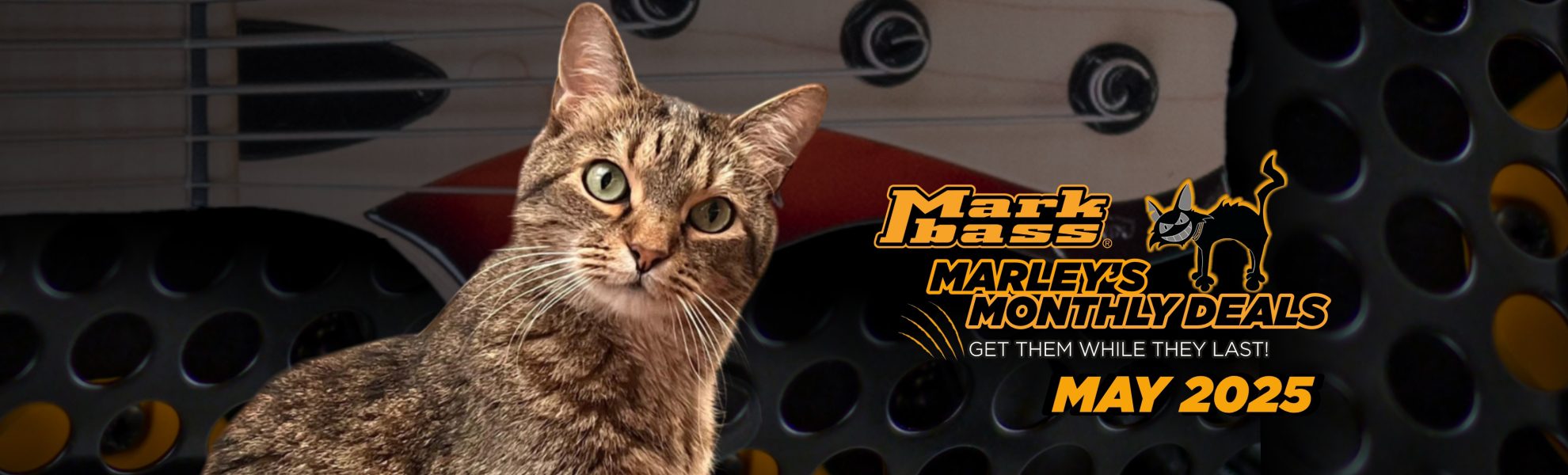 Mark Store – Passion brings innovation