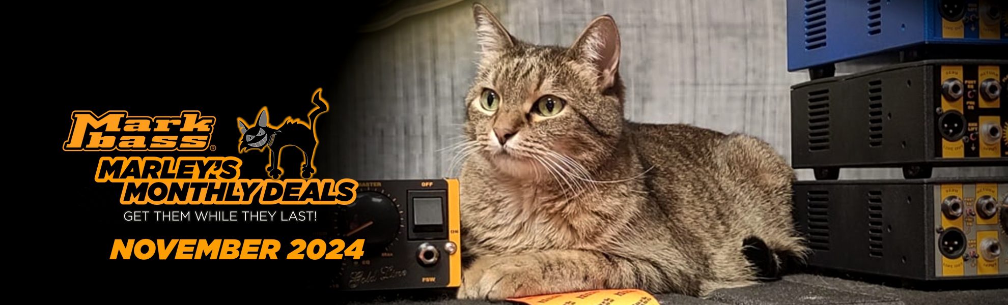 Mark Store – Passion brings innovation