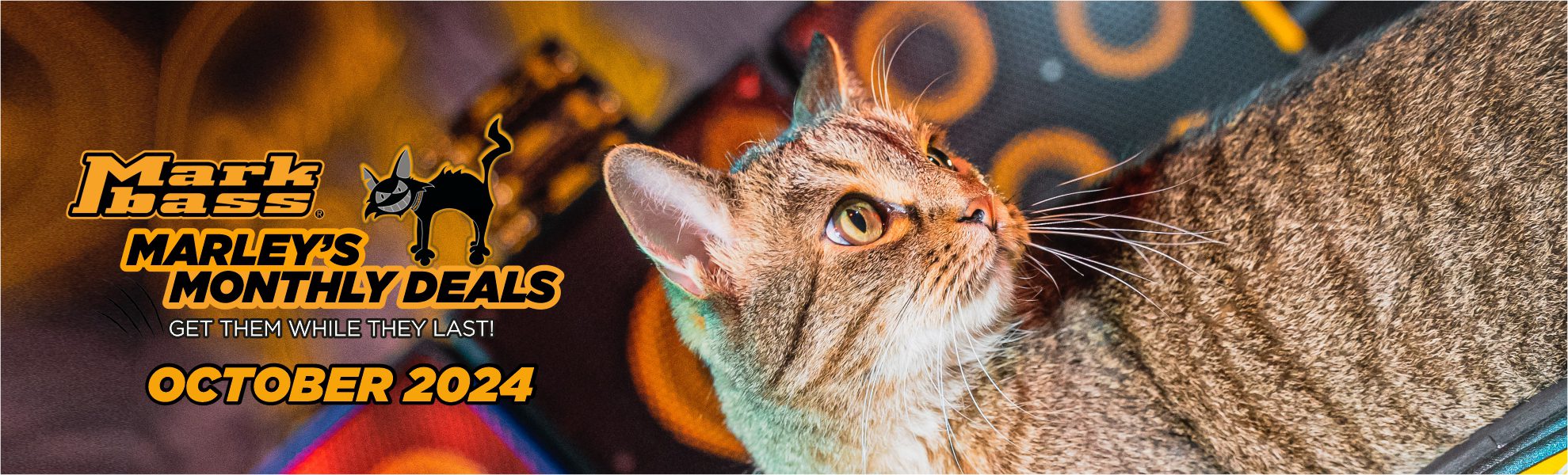 Mark Store – Passion brings innovation