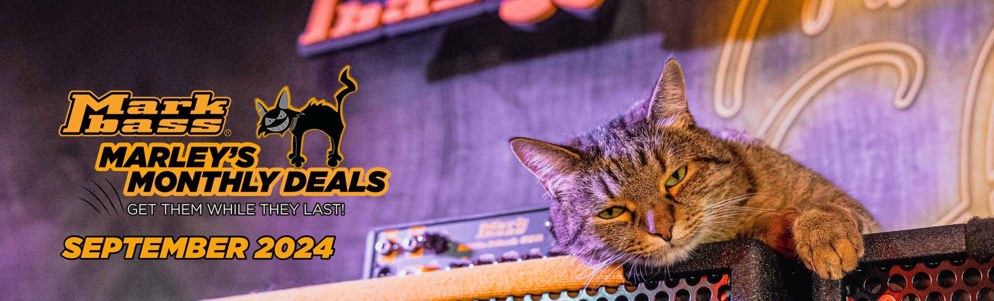 Mark Store – Passion brings innovation