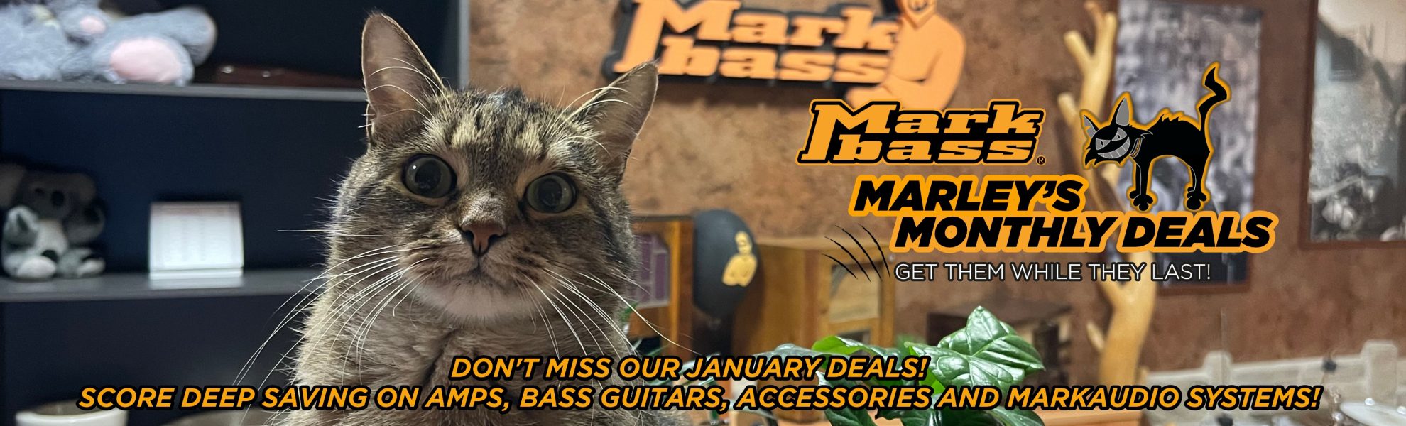 Mark Store – Passion brings innovation